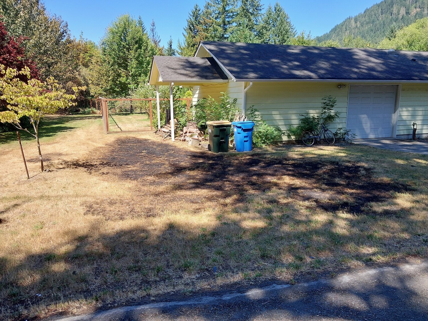 Fire destroys abandoned structure in Randle Wednesday | The Daily Chronicle
