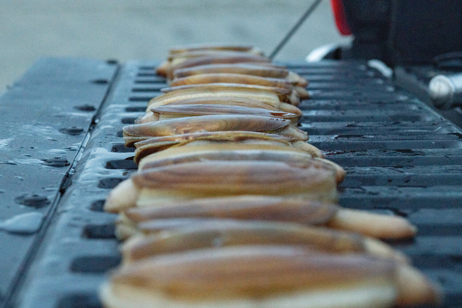 WDFW approves six days of coastal razor clam digs beginning Dec. 18 ...