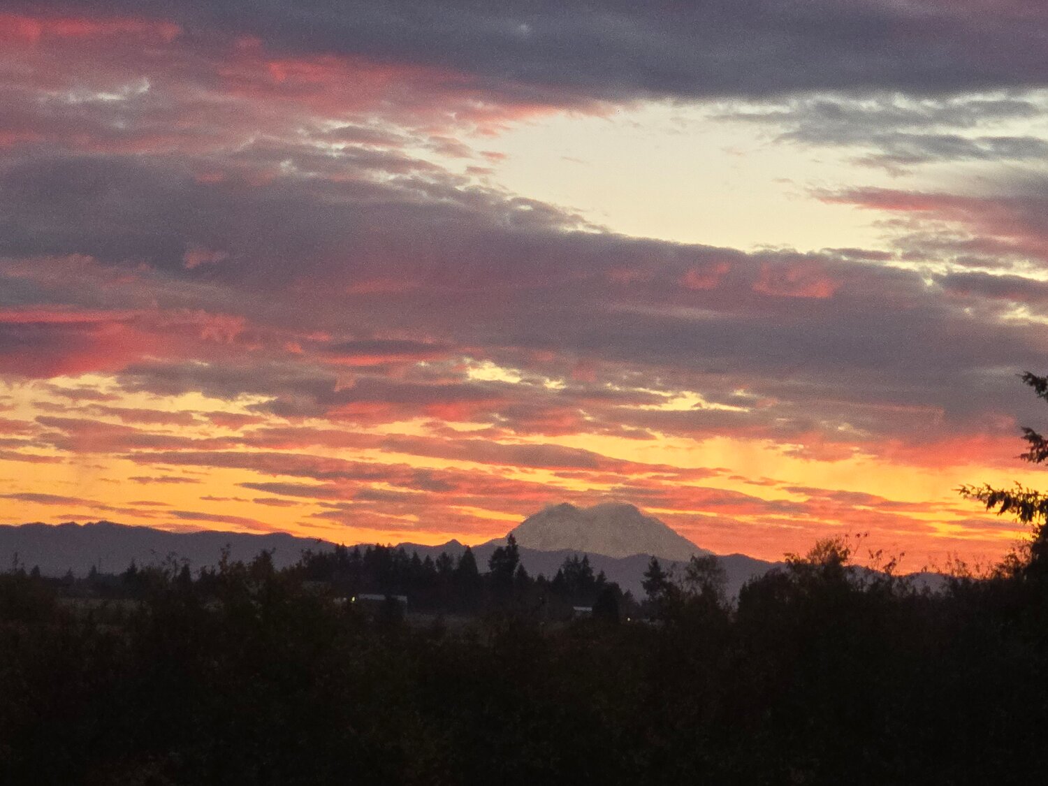 Timed entry reservations are no longer required at Mount Rainier ...