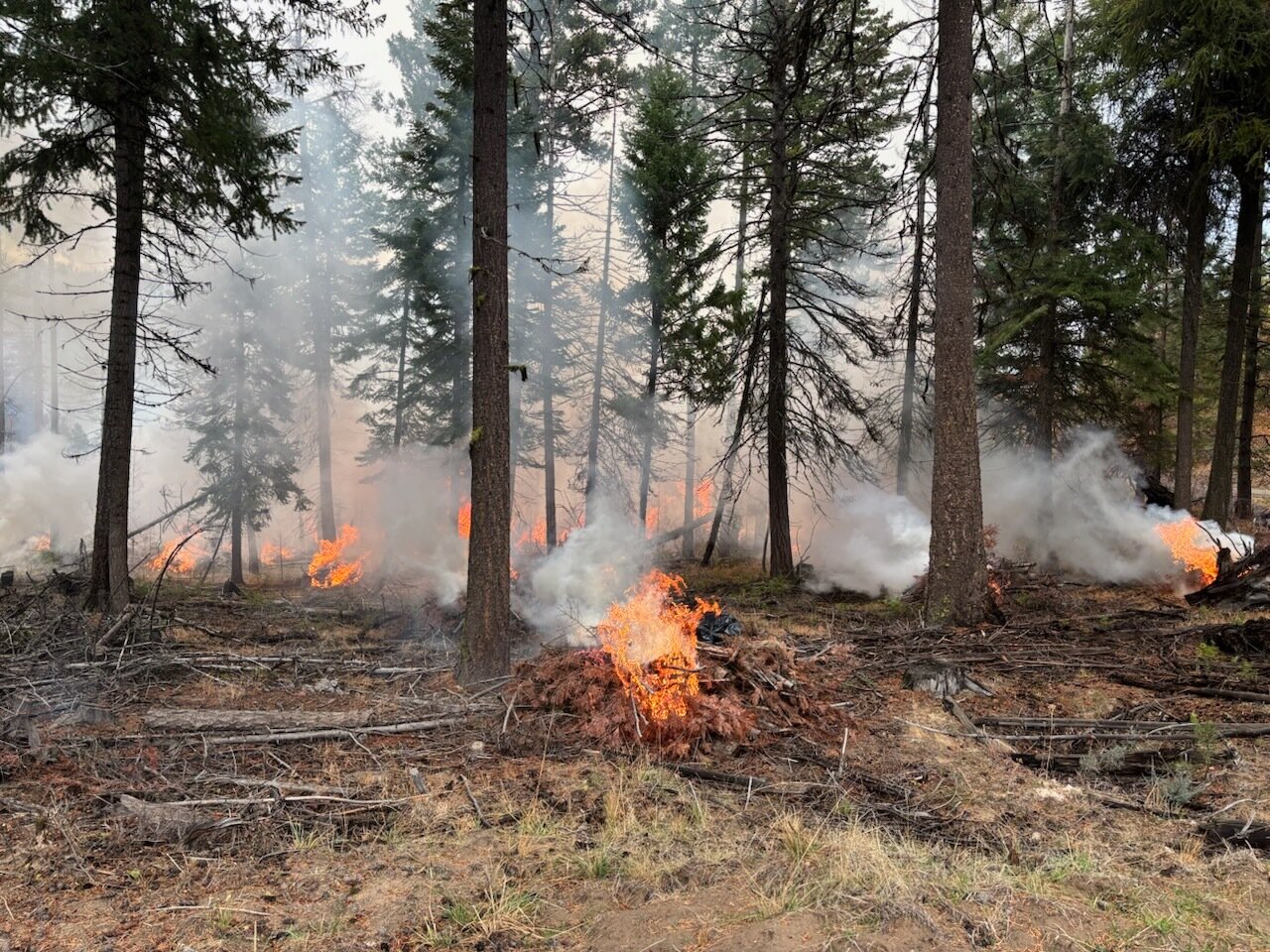 Bureau of Land Management: Prescribed burns protect local communities ...