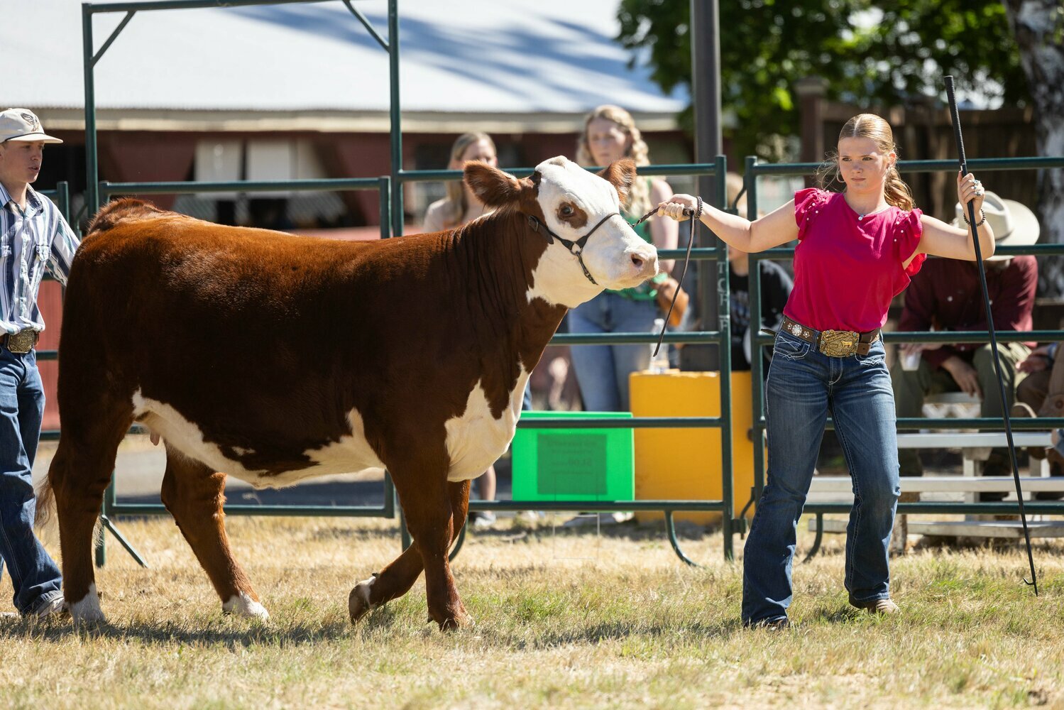 Thurston County Fairgrounds secures over $1.25 million for new ...