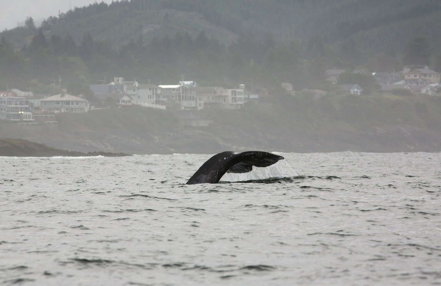 ‘Wild, rugged, windswept’: This Oregon coast city is one of the top ...