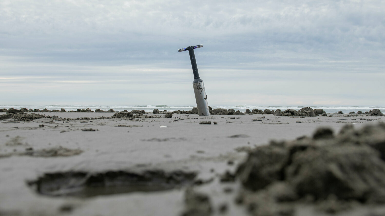 WDFW approves six days of coastal razor clam digs beginning Feb. 14 ...