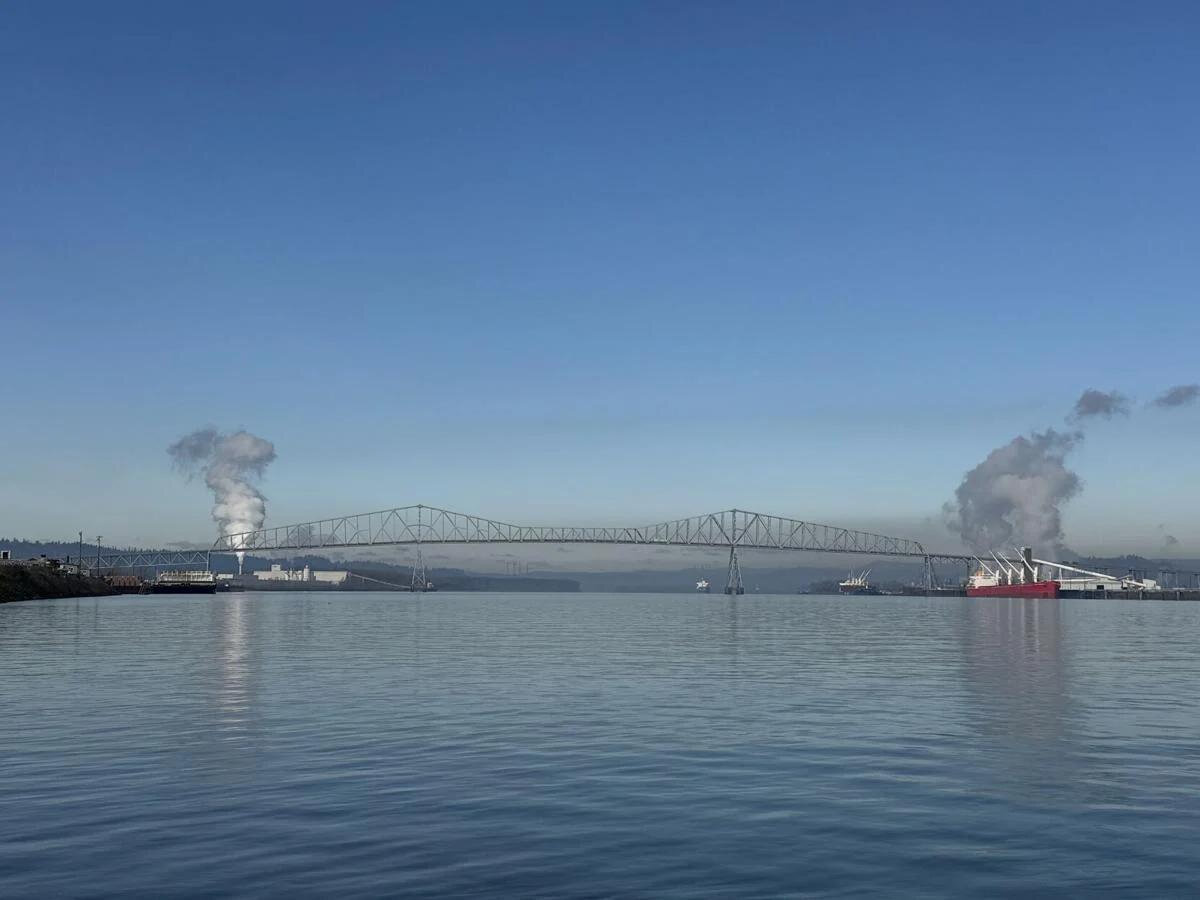 River pilots see vessels come within feet of hitting bridge over ...