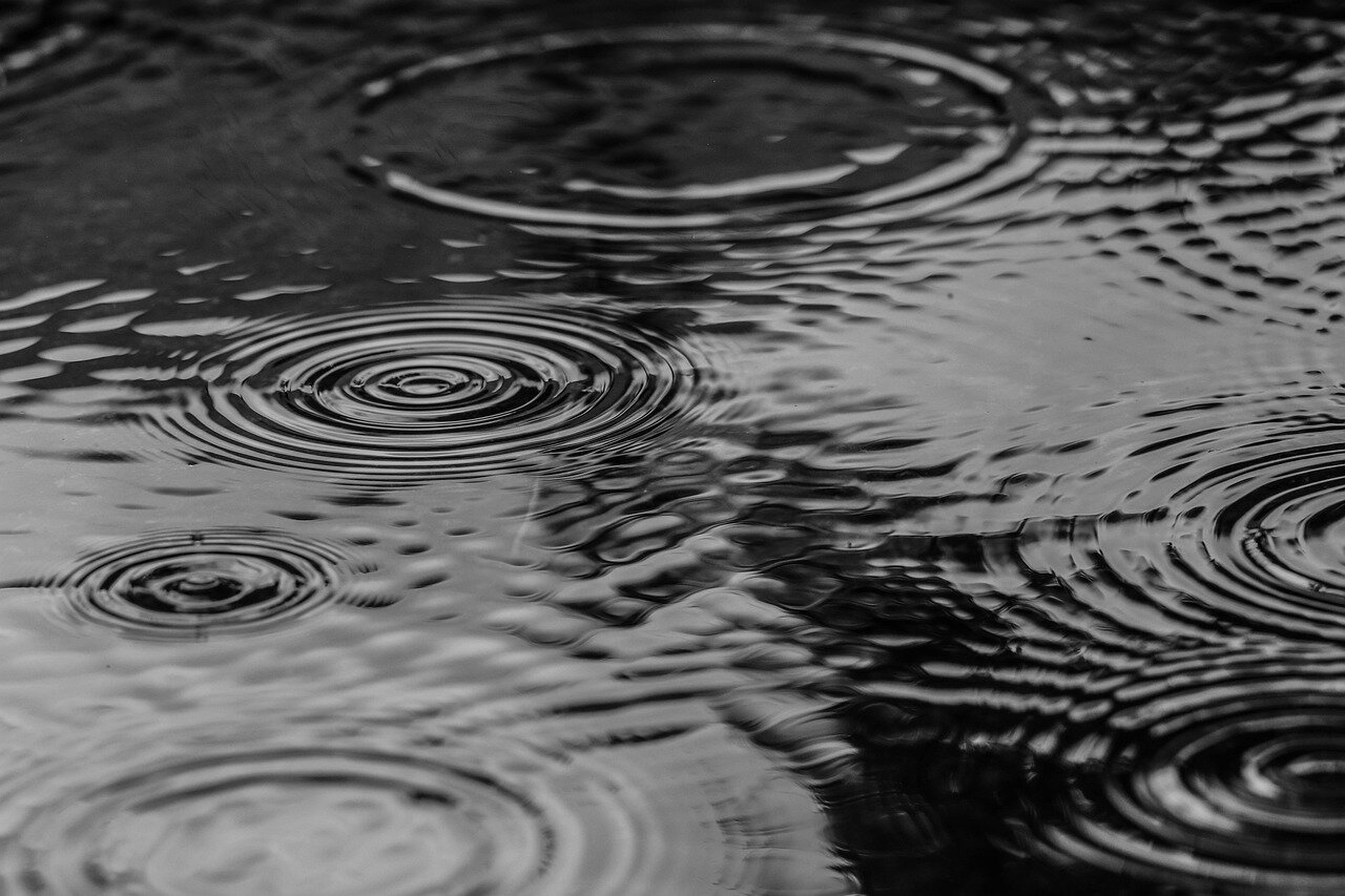 March isn’t done roaring yet - heavy rain, even snow looming next week ...