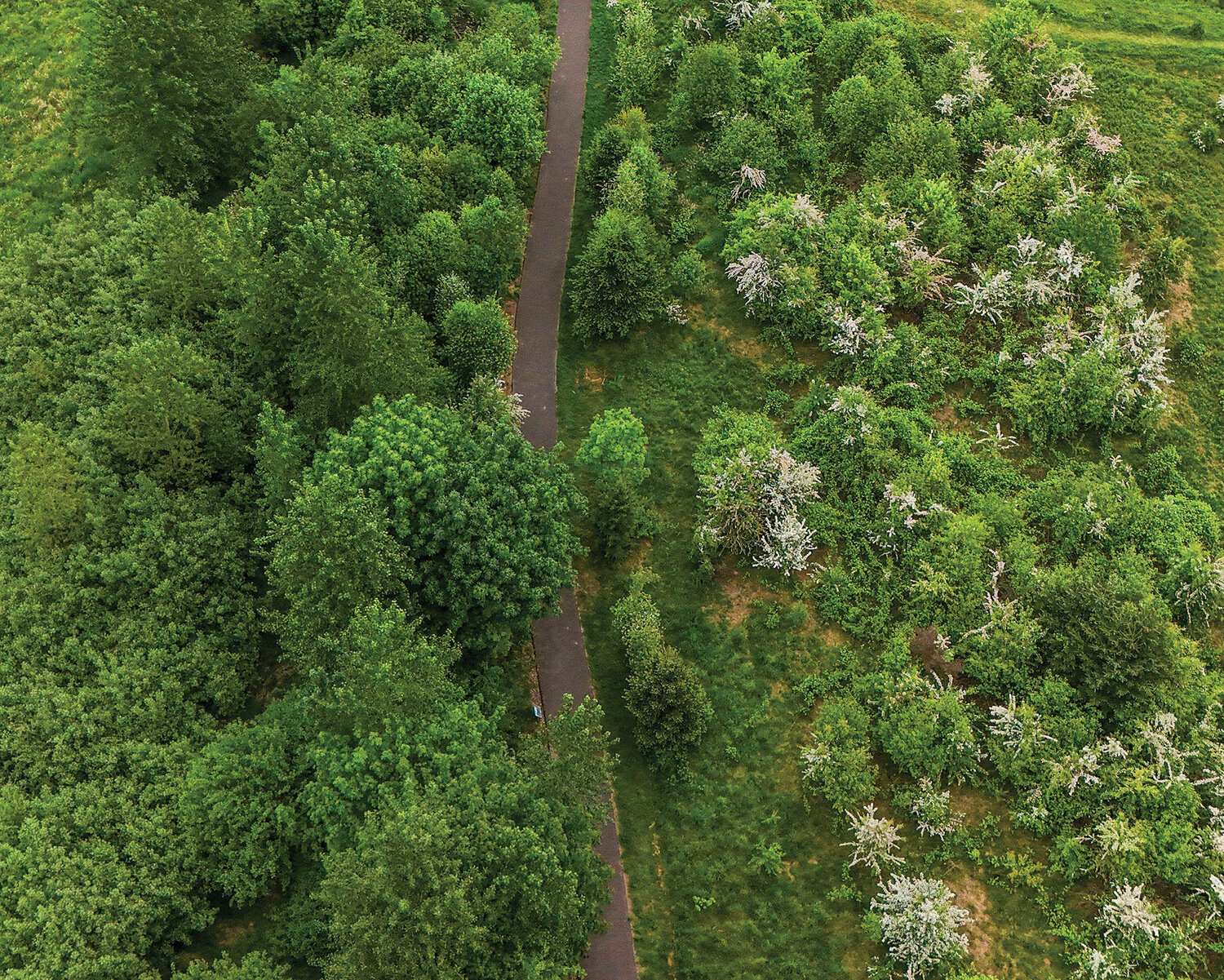 Remy Park moves toward first phase of construction to serve West Battle ...