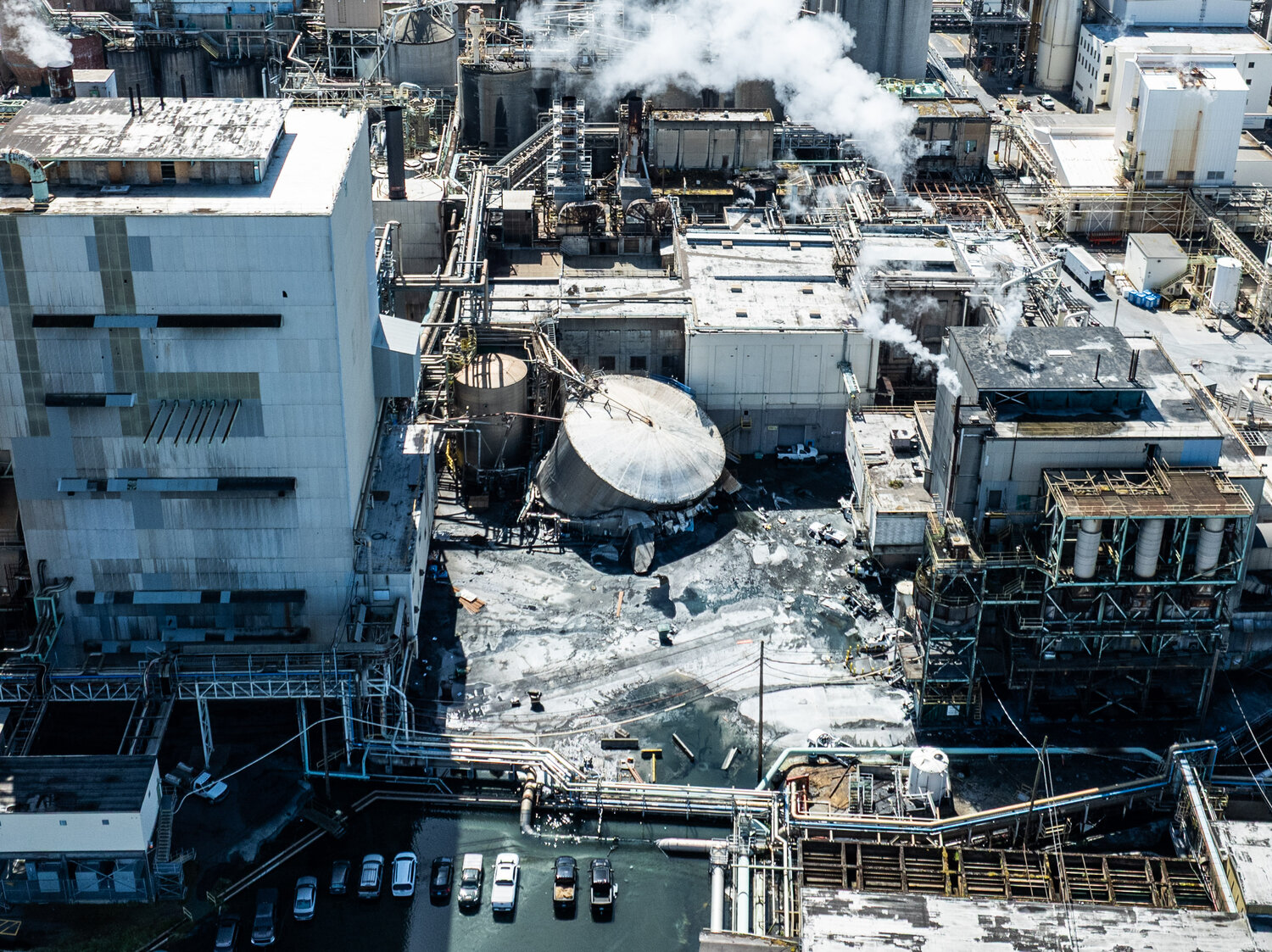 Cowlitz County dead fish count nears 2,000 after pulp mill disaster ...