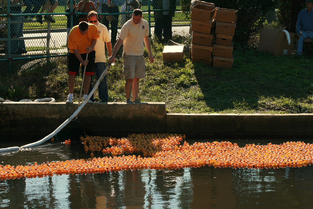 Rockville Centre Lions Club floats a flotilla of rubber ducks | Herald ...