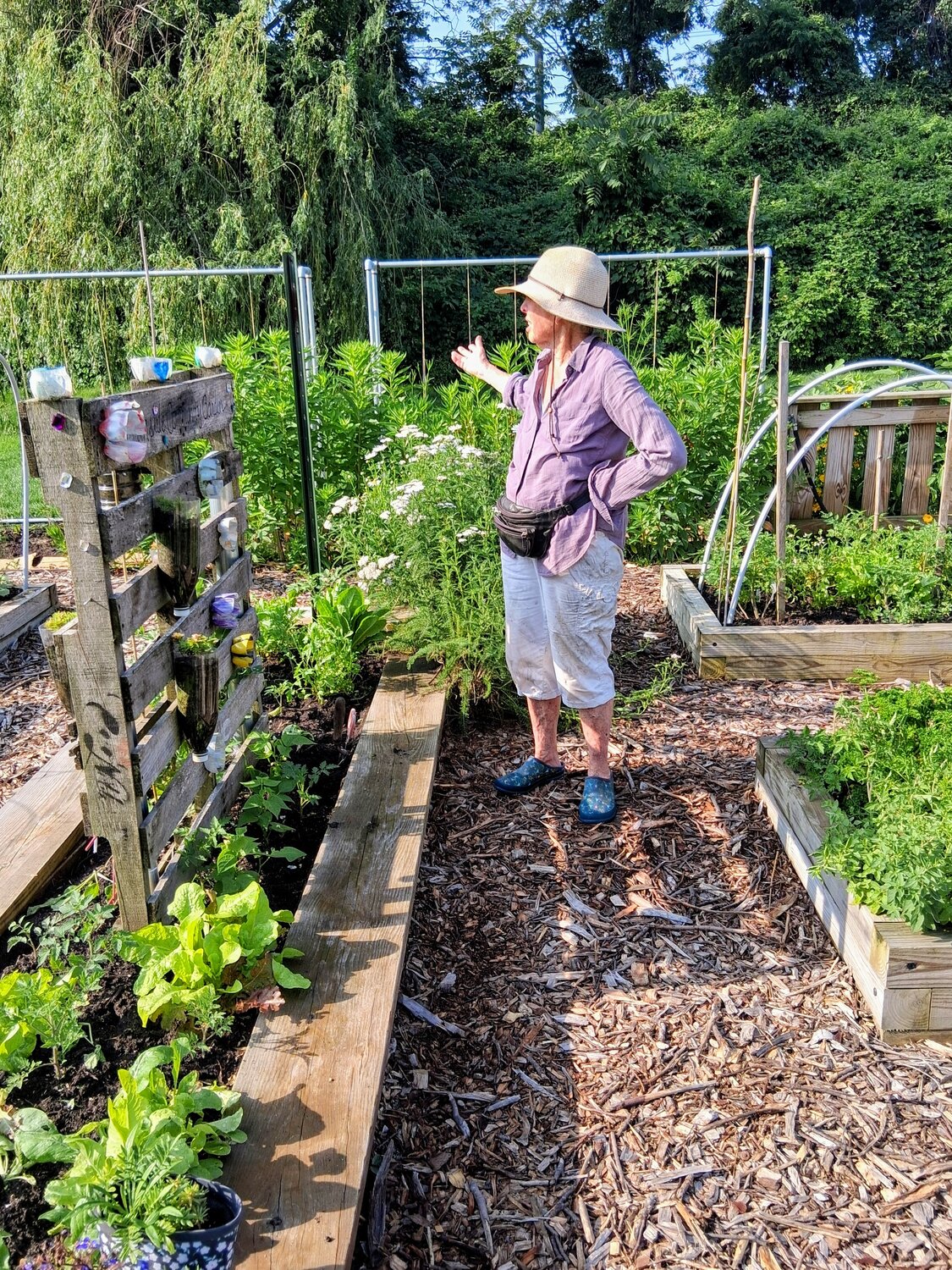 Community garden thriving at Oceanside Cove | Herald Community ...