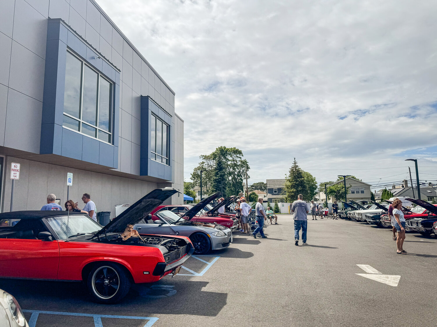 Photos: Classic cars turn heads at Oceanside Library’s first-ever car ...
