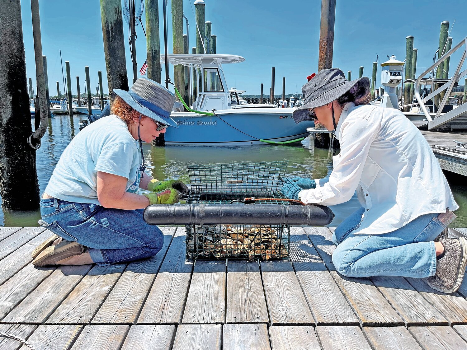 Ocean Acidification: an invisible threat in Long Island’s waters ...