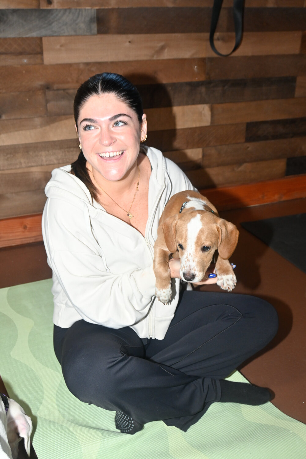 Puppy yoga in Oceanside combines fitness and fundraising for rescue ...