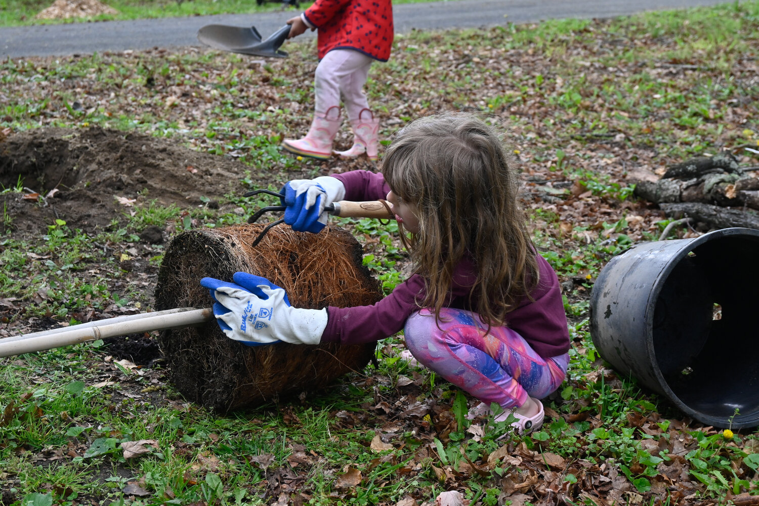 Lynbrook residents plant trees at Greis Park Arbor Day | Herald ...