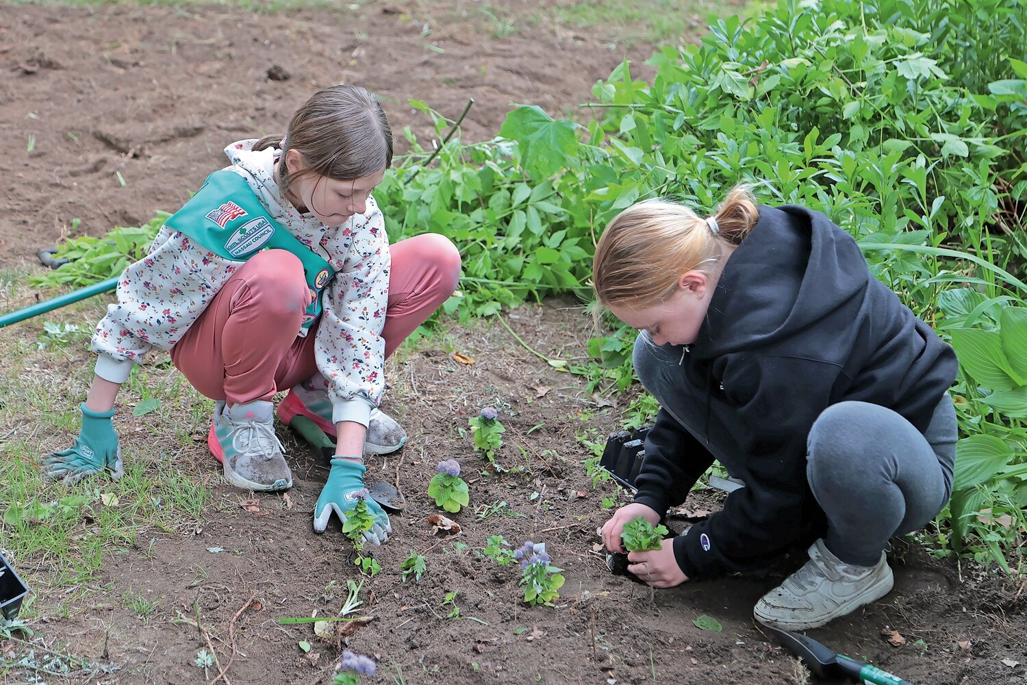 Rockville Centre Girl Scout troop brings pollinator garden to Phillips ...
