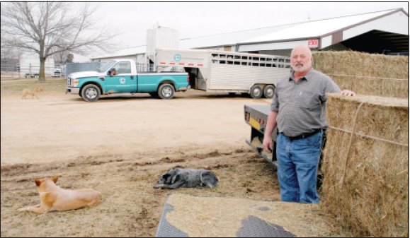 Genex: Ancestry of modern ‘bull farm’ traces to MFA A.I. cooperative ...