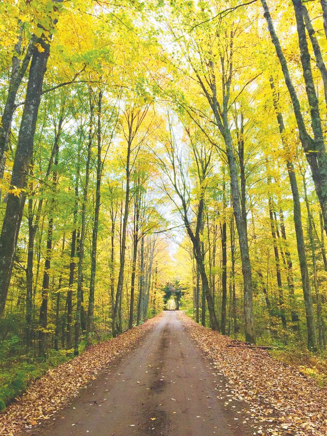 Home - Antigo Times - Press Times