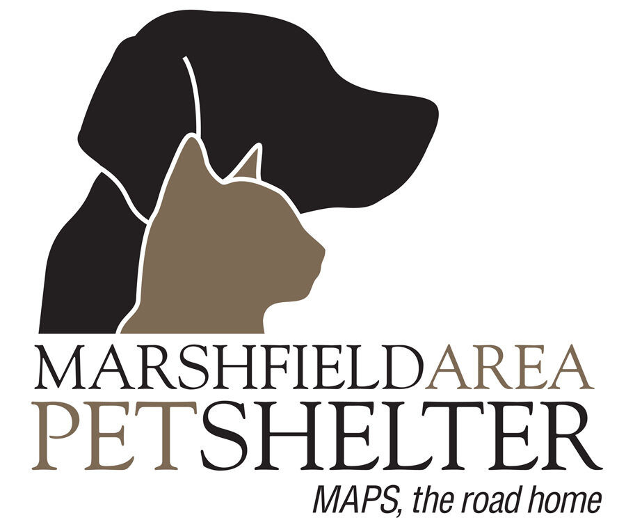 MAPS Pets of the Week: Meet Winnie, Twigs, Felix, and Phoenix - Hub ...