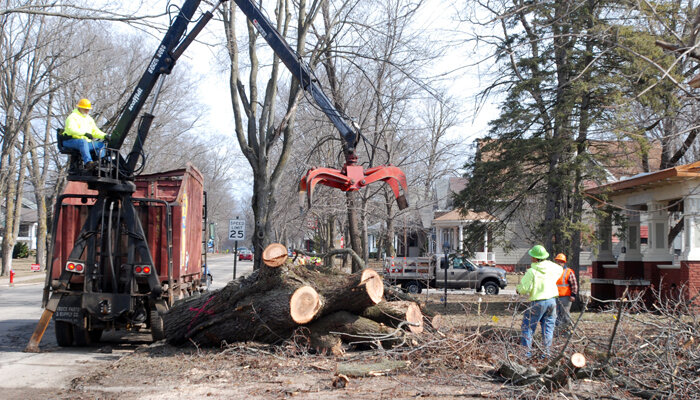 Falling trees cause damage - Waupaca County Post