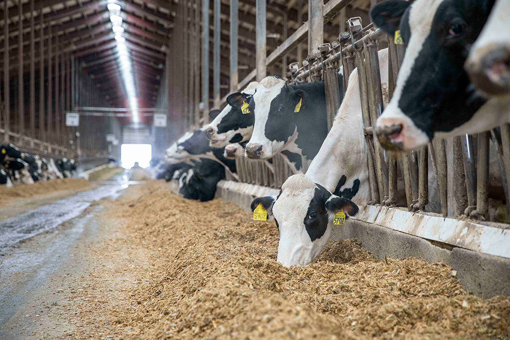 Brown County breakfast on the farm set for June 5 - Press Times