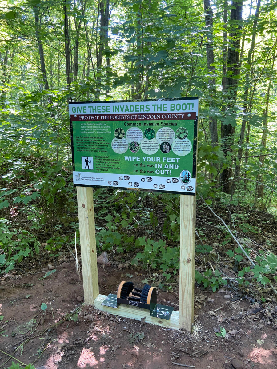 Lincoln County gives invasive species “the boot” - Merrill Foto News