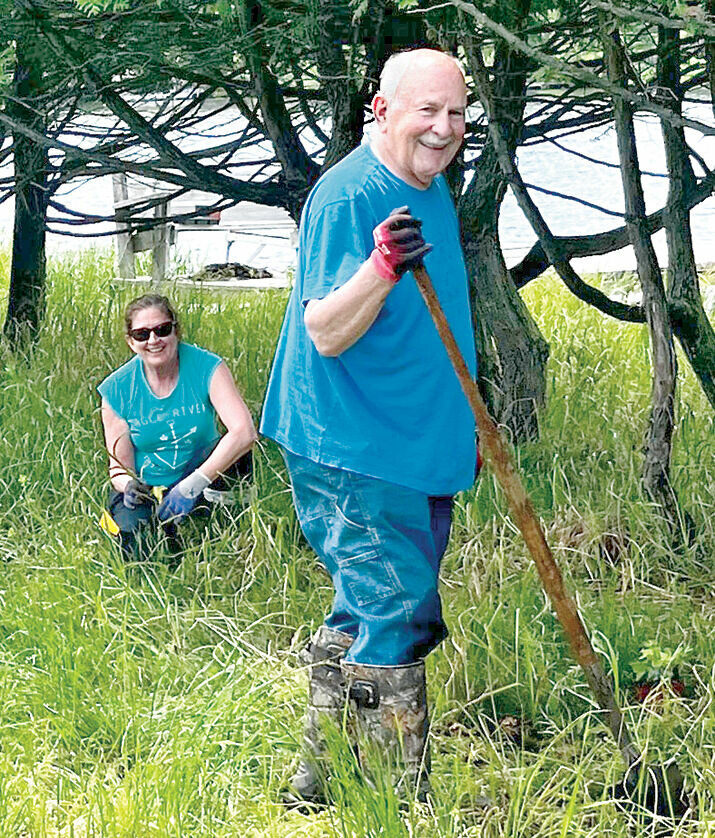 Volunteers add native plants to shoreline - Vilas County News-Review
