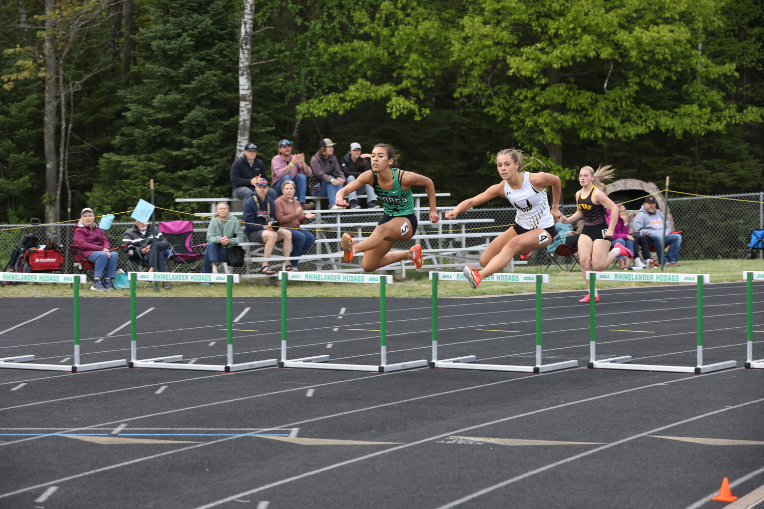 Hodag Highlights: Several Hodags qualify for the state track meet ...