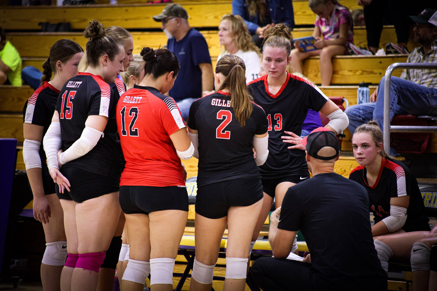 Suring Eagles soar over Gillett Tigers in conference matchup - Peshtigo ...