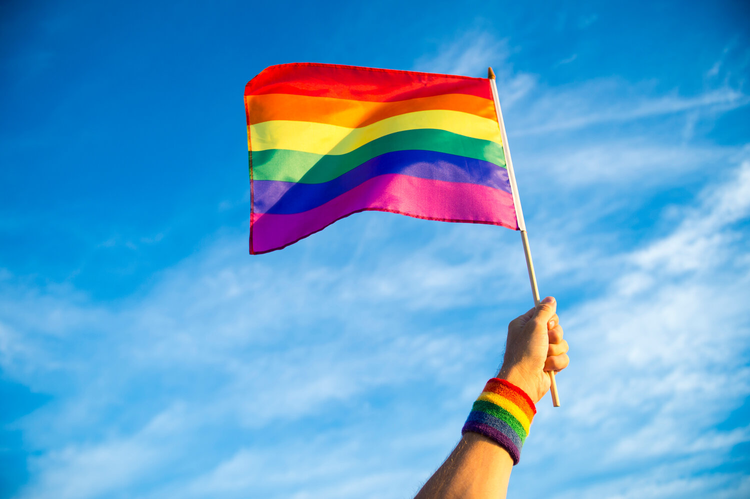 We Will Still Be Seen: Pop-Up Pride event planned following NEW Pride ...