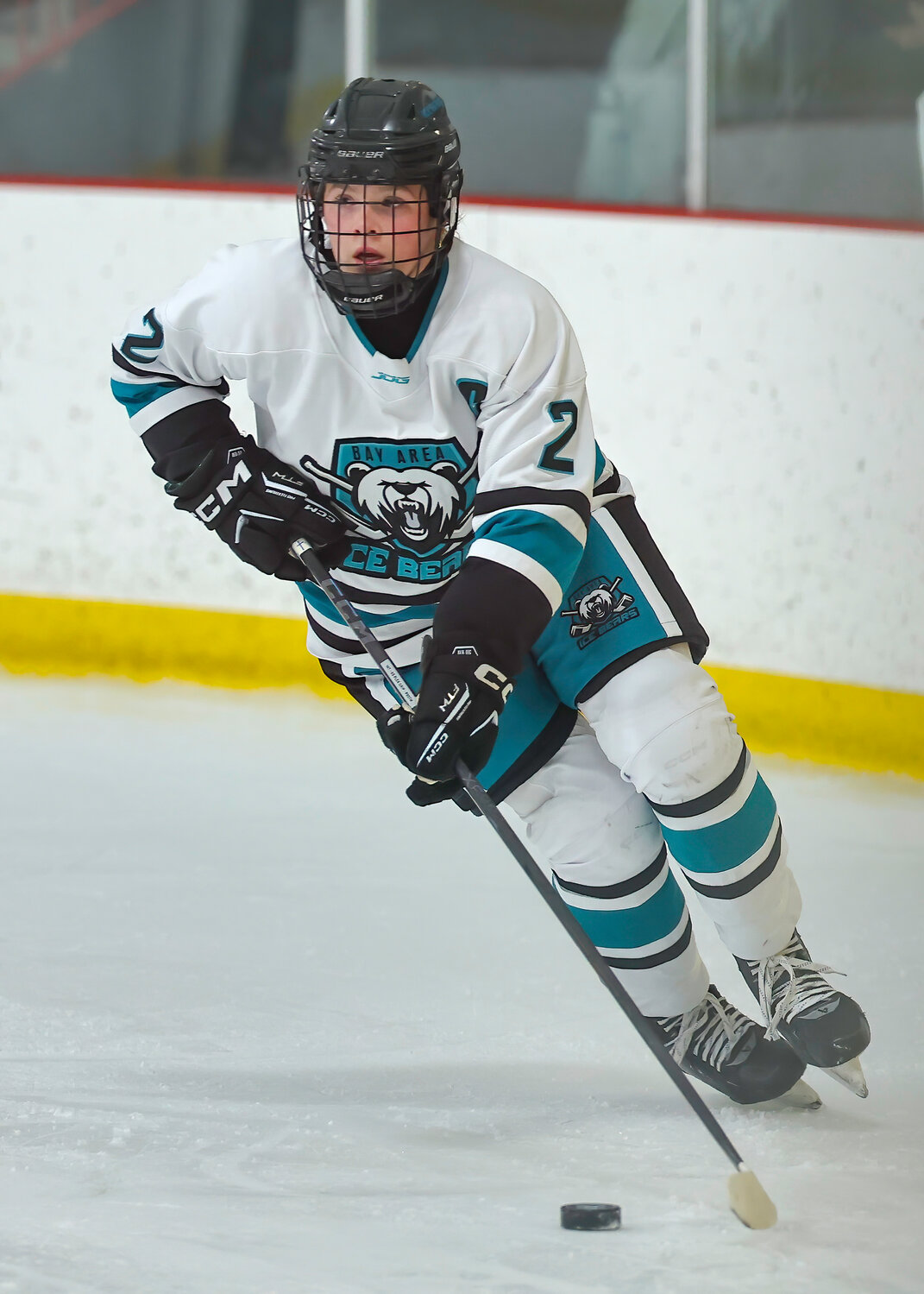 Ice Bears blank Stars 4-0 - Press Times