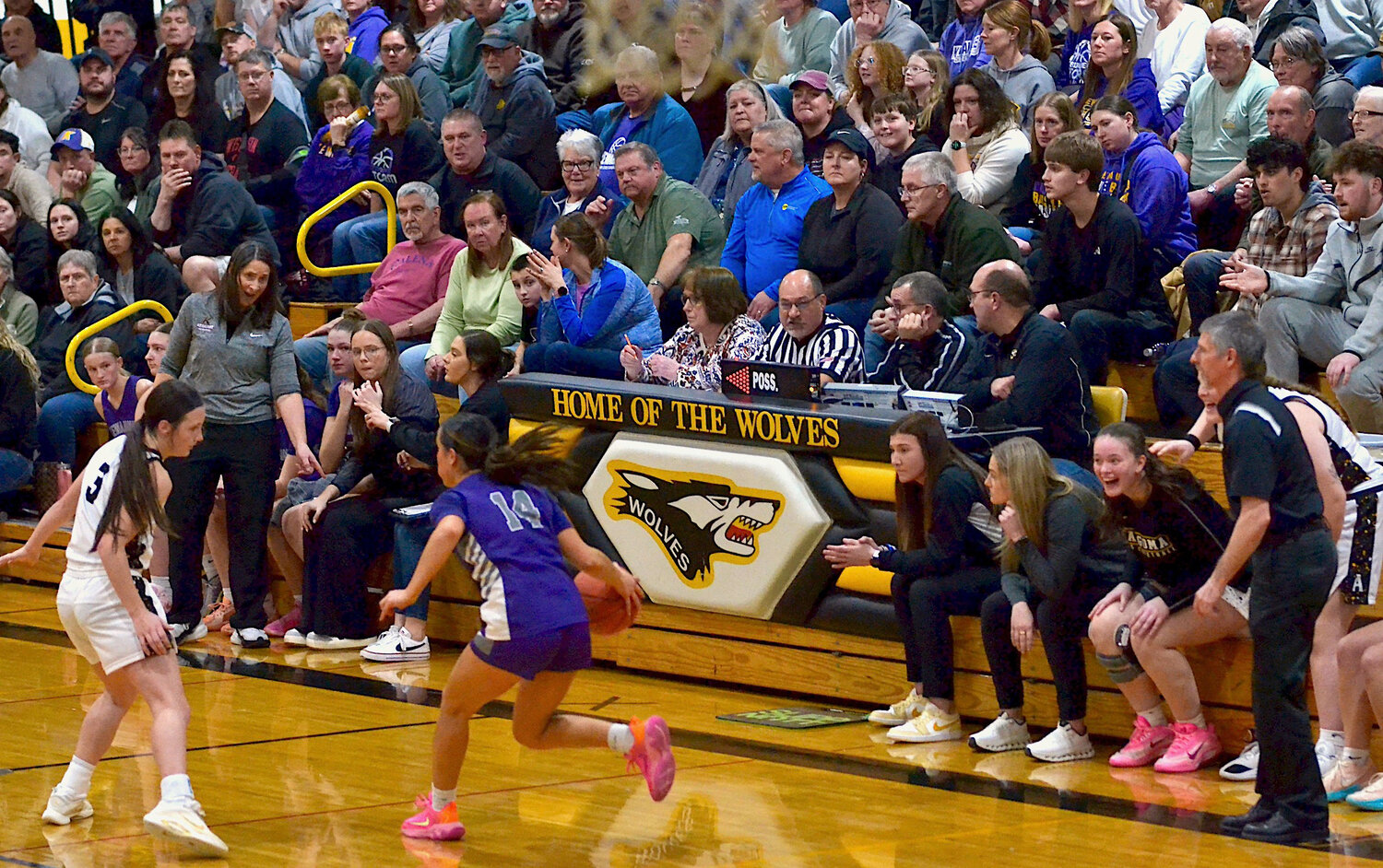 Clutch Kroll scores game-winner - Kewaunee County Star News