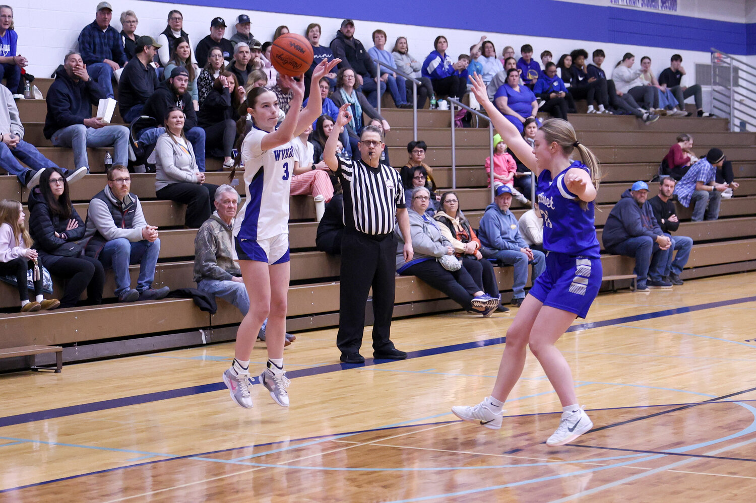 Lady Wykons fall short in District Semi-Final - Iron County Reporter