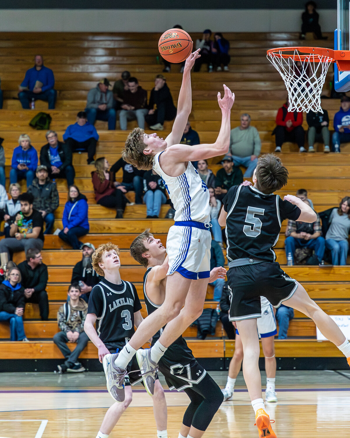 Varsity Bluejays celebrate two Boys Basketball wins, earn playoff bye ...