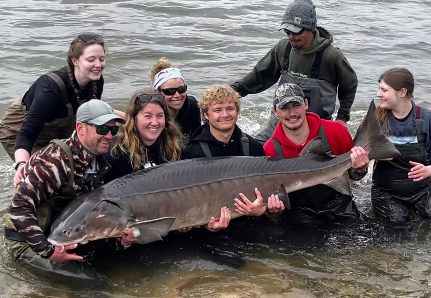 Massive sturgeon measured in Fox - Kewaunee County Star News