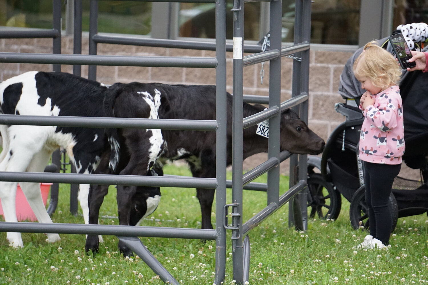 June Dairy Breakfast draws crowd for food, family farm-focused fun ...