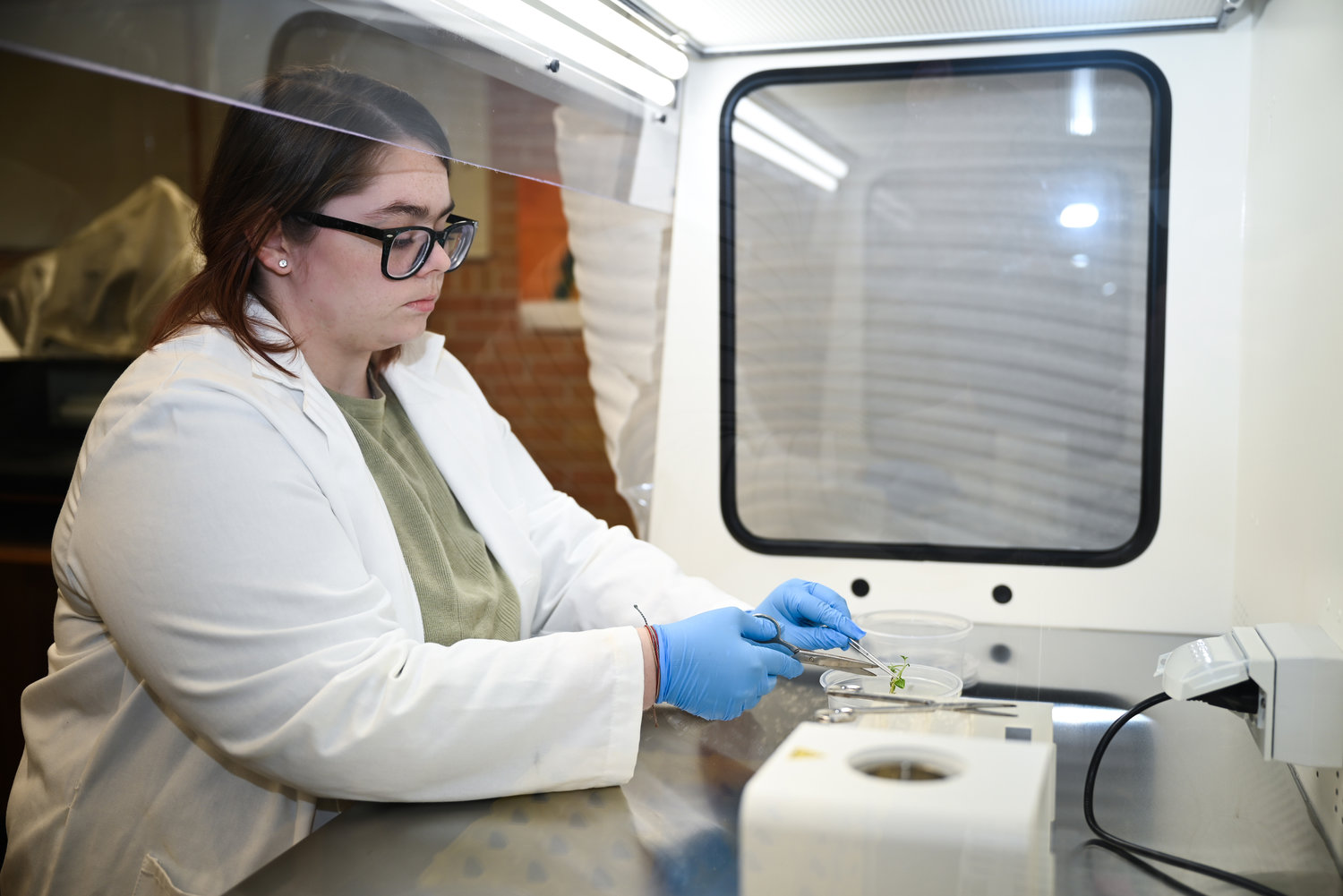 Professor Brings Plant Biotechnology Research to UAM Laboratory | The ...