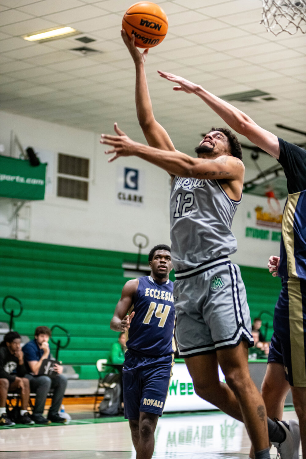 Weevils defeat Tigers, Savage Storm on the road in Oklahoma | The ...