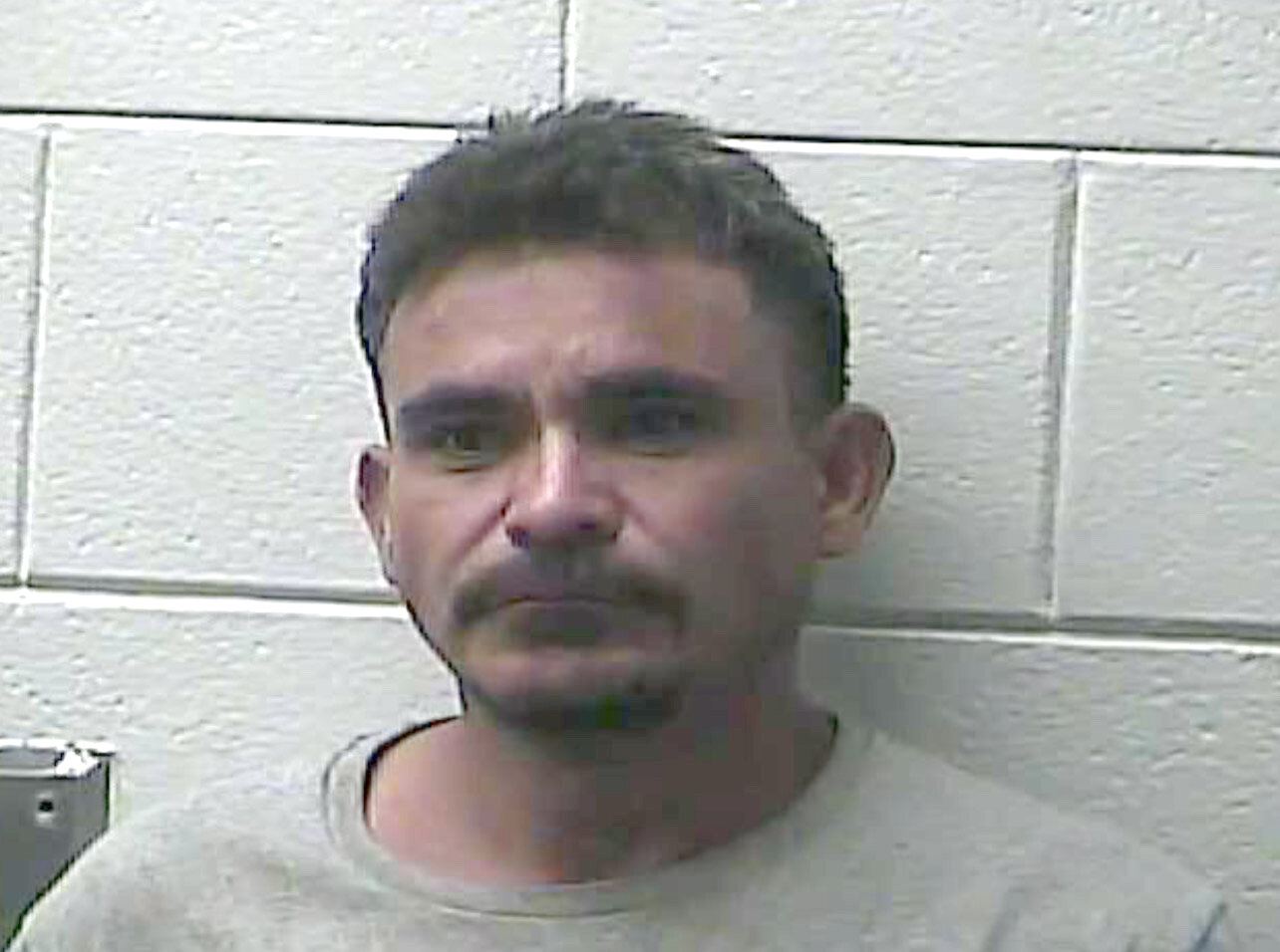 Local man charged with torture of a dog/cat - The Mt. Sterling Advocate