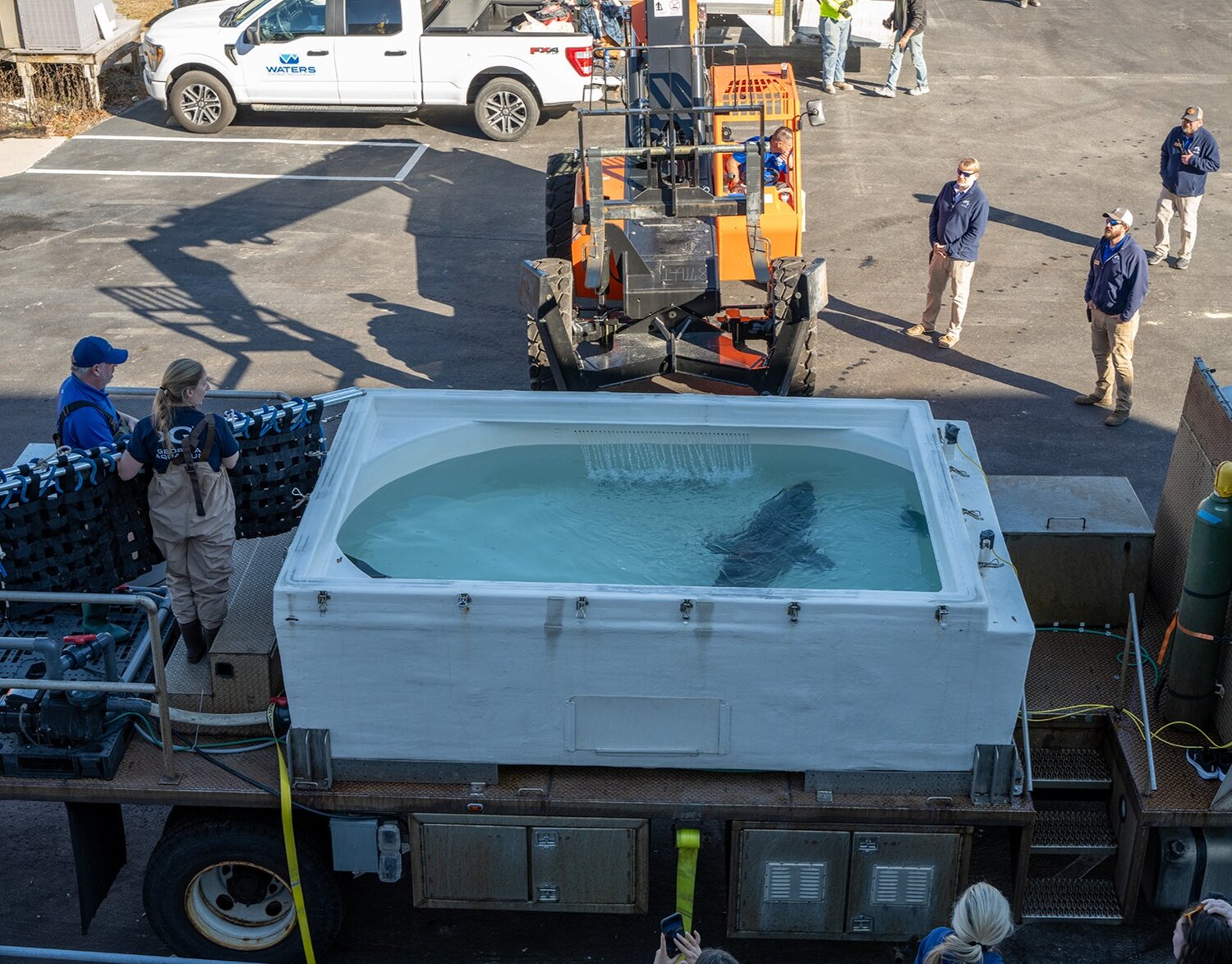 Staff at 4 aquariums move 2 large sharks to new homes - Richmond Observer