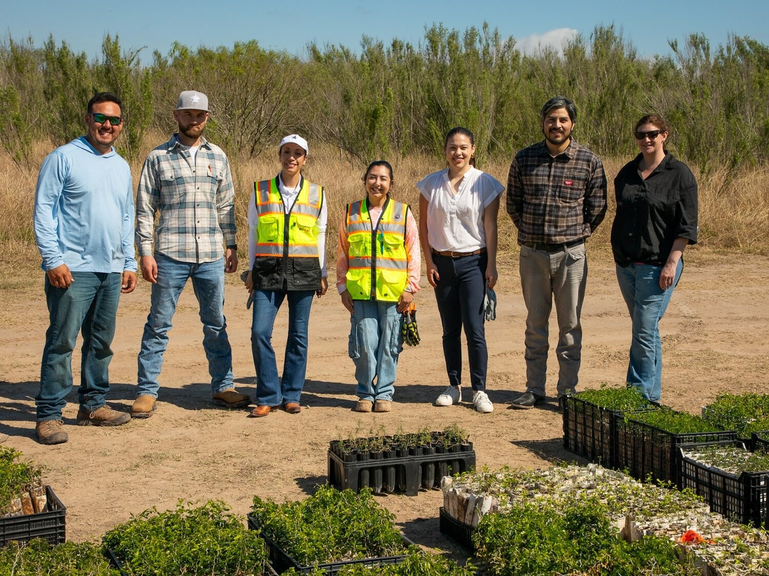 NextDecade: Wetlands restoration project at Miradores Mitigation Site ...
