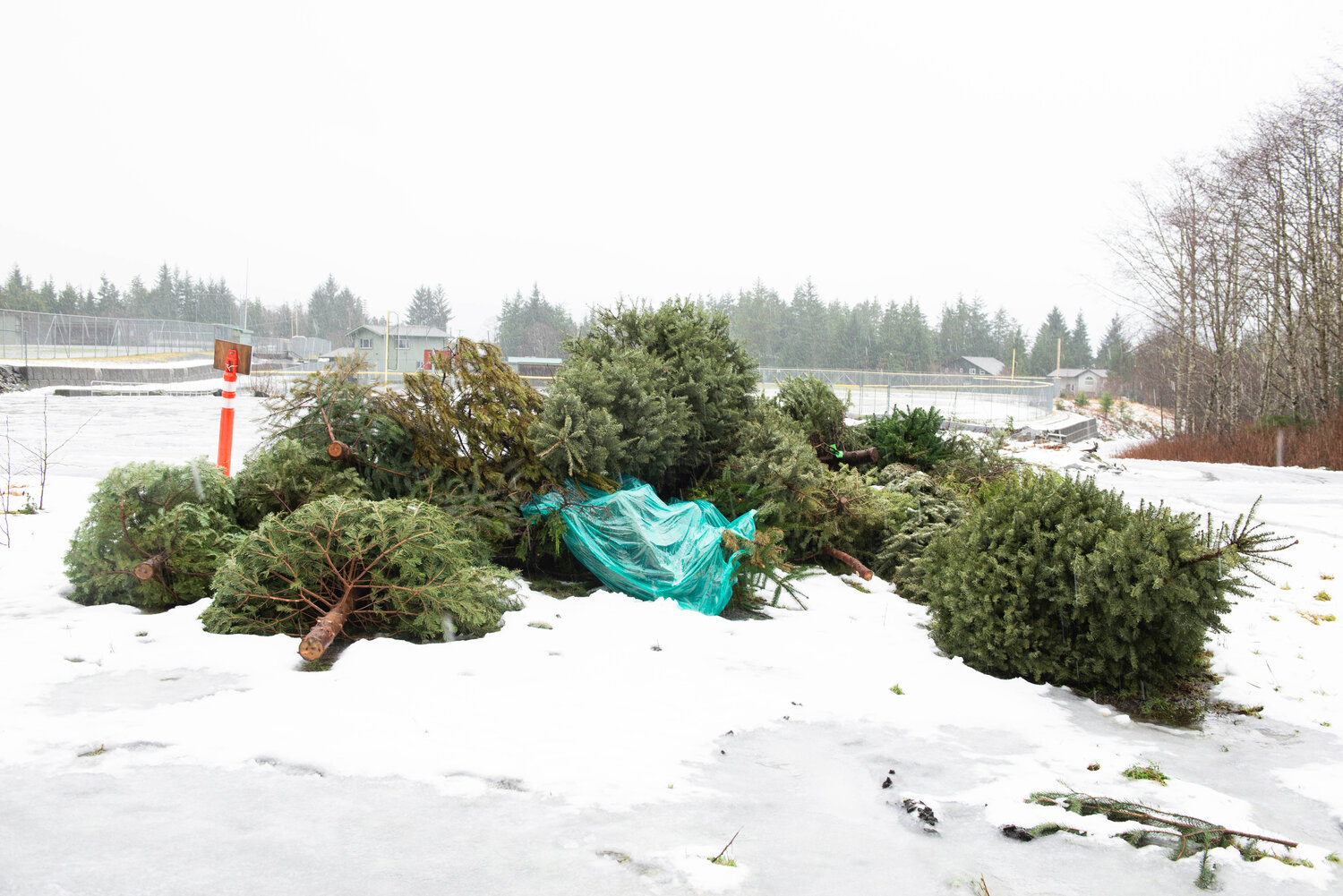 Local news - Daily Sitka Sentinel