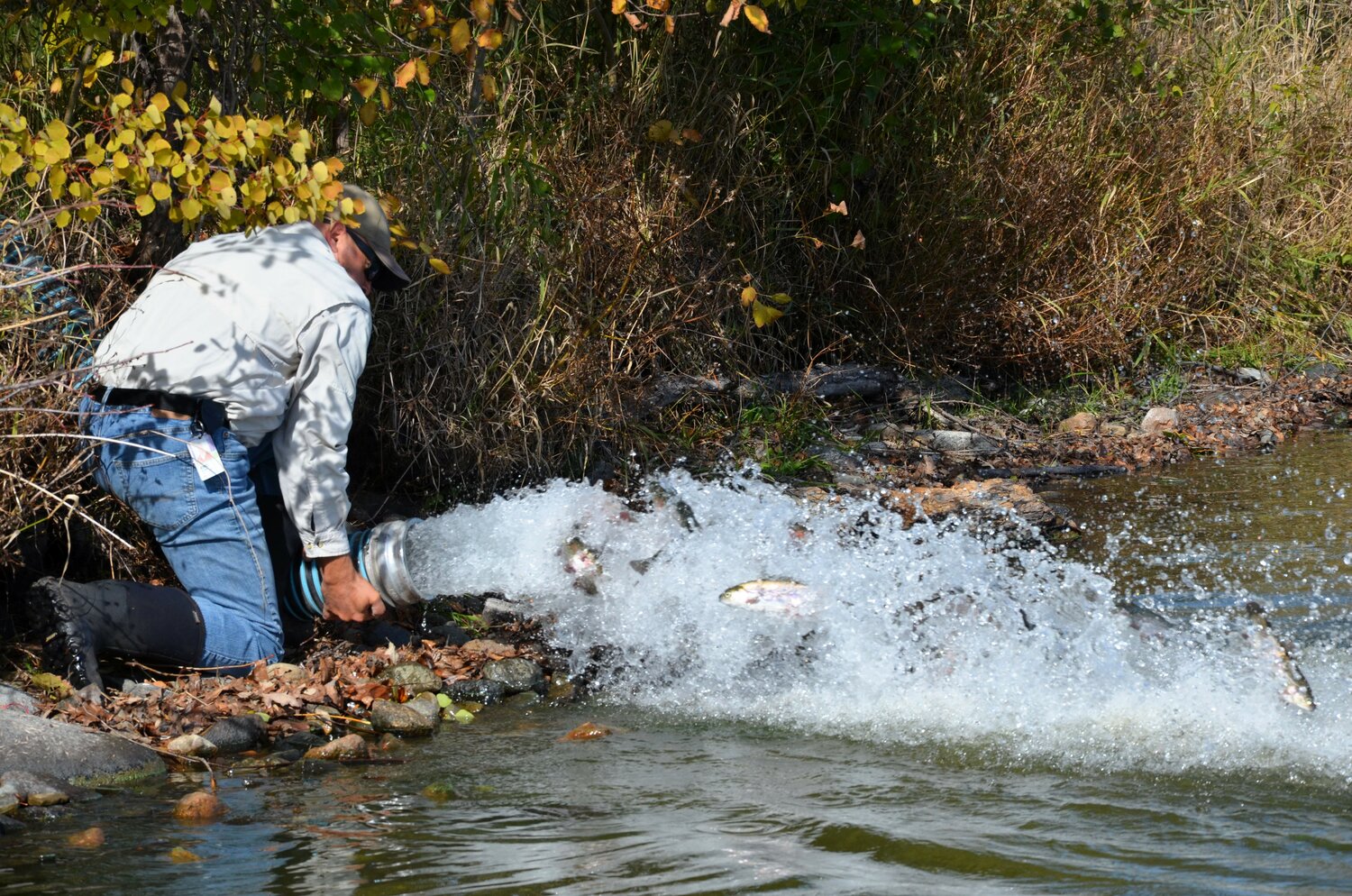 A thousand reasons to go fishing - Benton County Herald