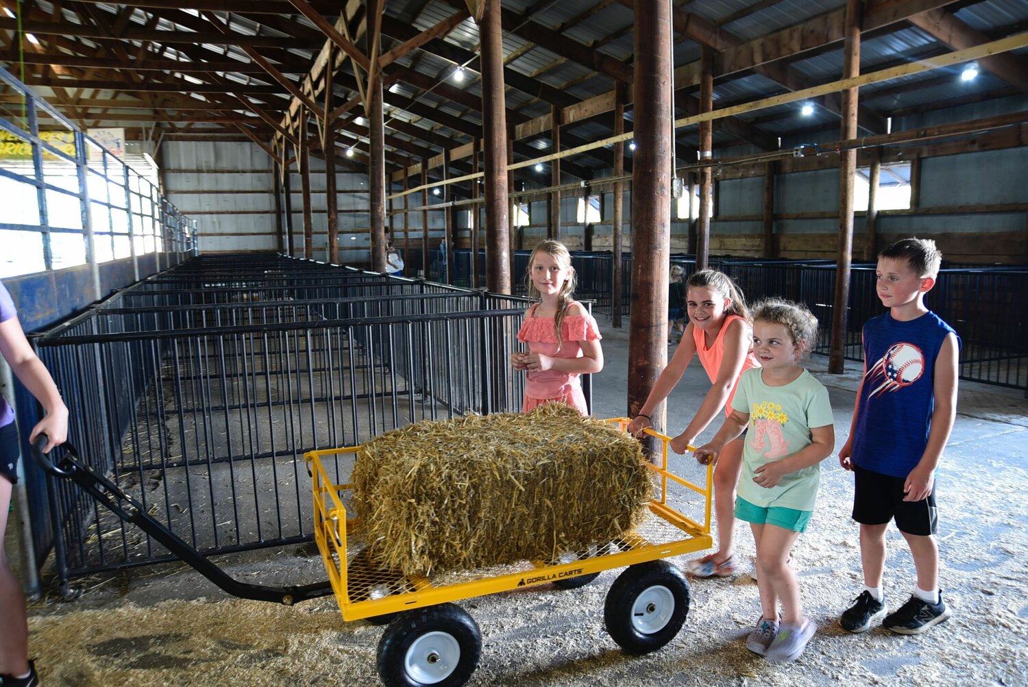 All about Ag: Countdown to the fair - Sauk Centre Herald