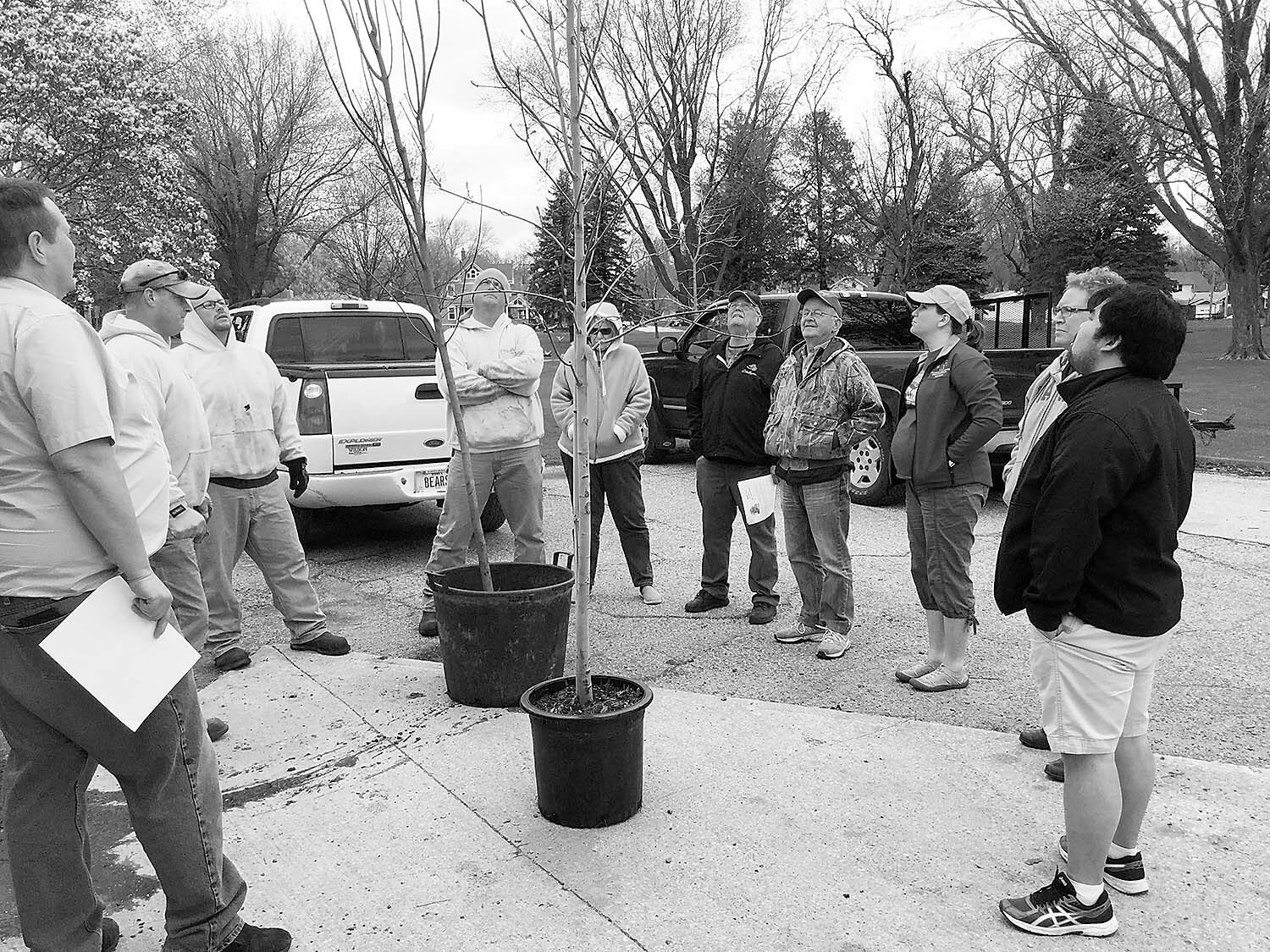 Tree selection and planting workshop hosted by ISU Extension - Storm ...