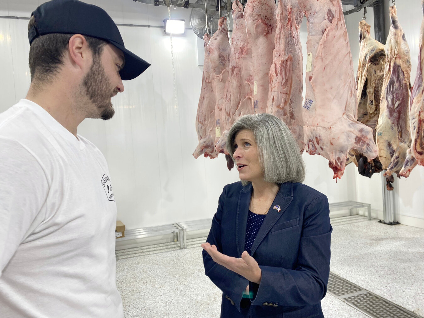 Woke make Sen. Ernst choke - Storm Lake Times Pilot