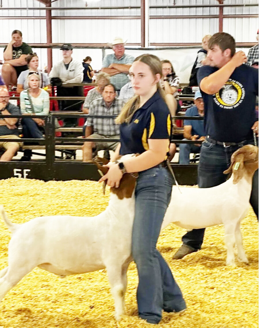 Sioux Central FFA at the Clay County Fair - Storm Lake Times Pilot