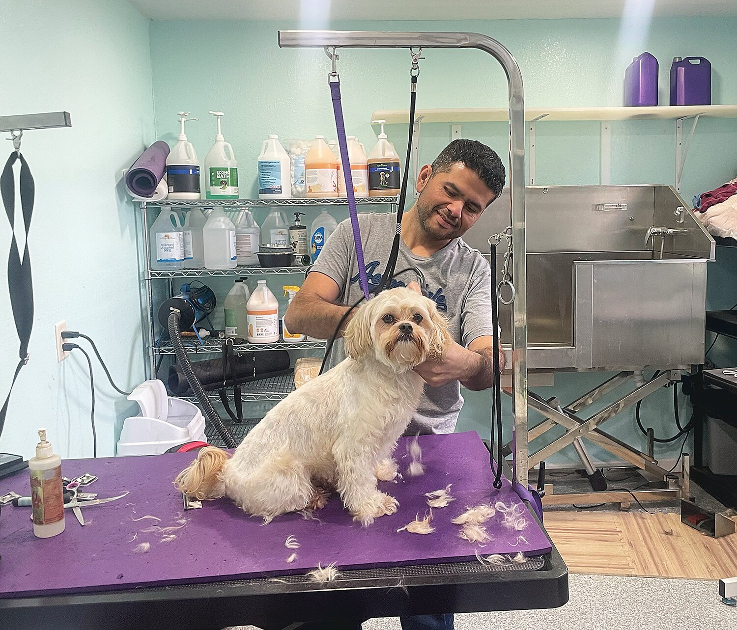 From supervisor to dog groomer - Storm Lake Times Pilot