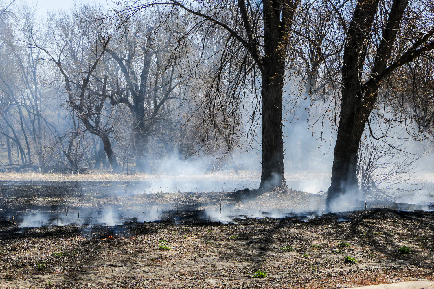 Prescribed burns: Protecting land, practicing skills - The Cherokee ...