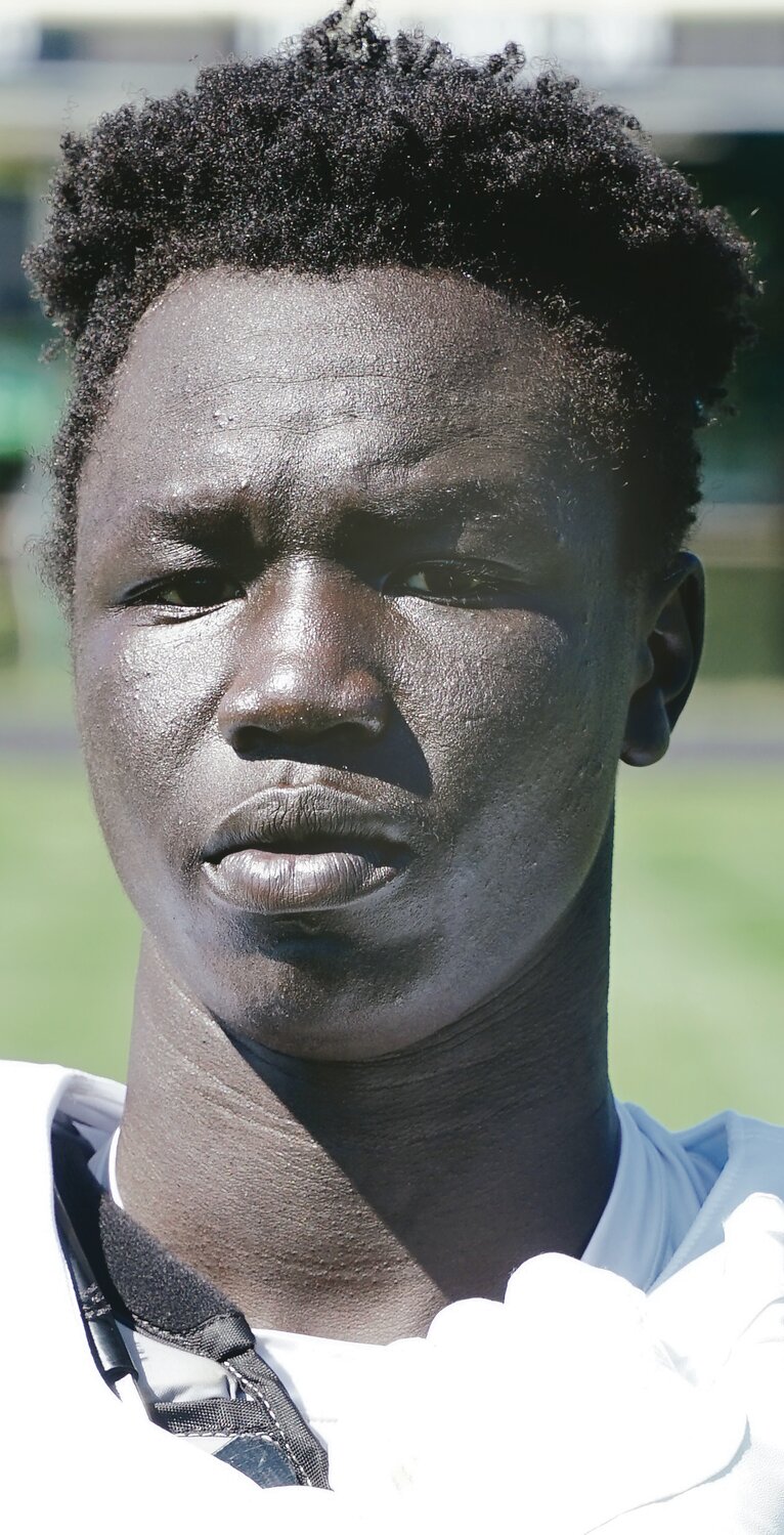 SL's William, RV's Cougill recognized on all-state football team ...