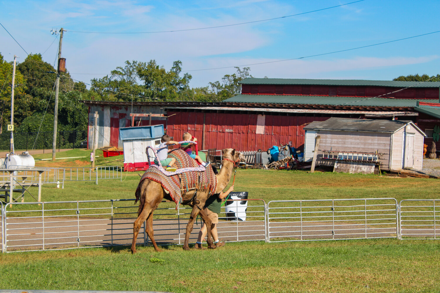 Cleveland County Fair Marks 101 Years Amid Tragedy and Celebration ...