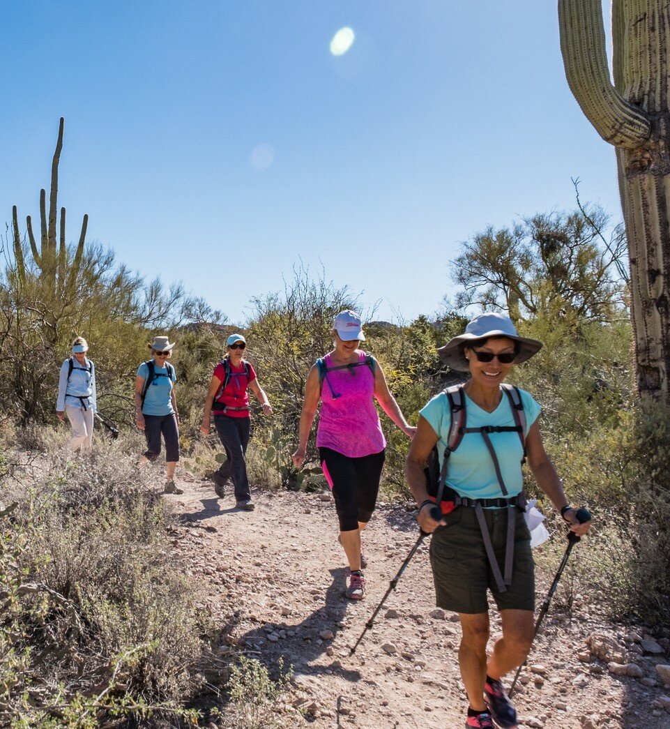 Sonoran Conservancy of Fountain Hills activities - Fountain Hills Times